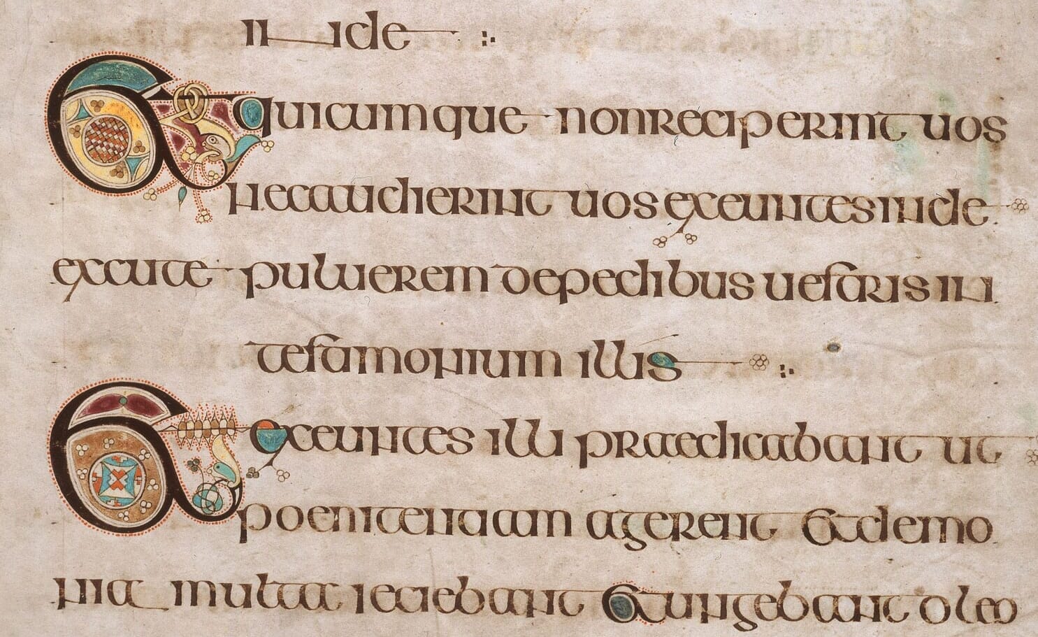 Book of Kells Insular Majuscule Script on Display | Visit Trinity