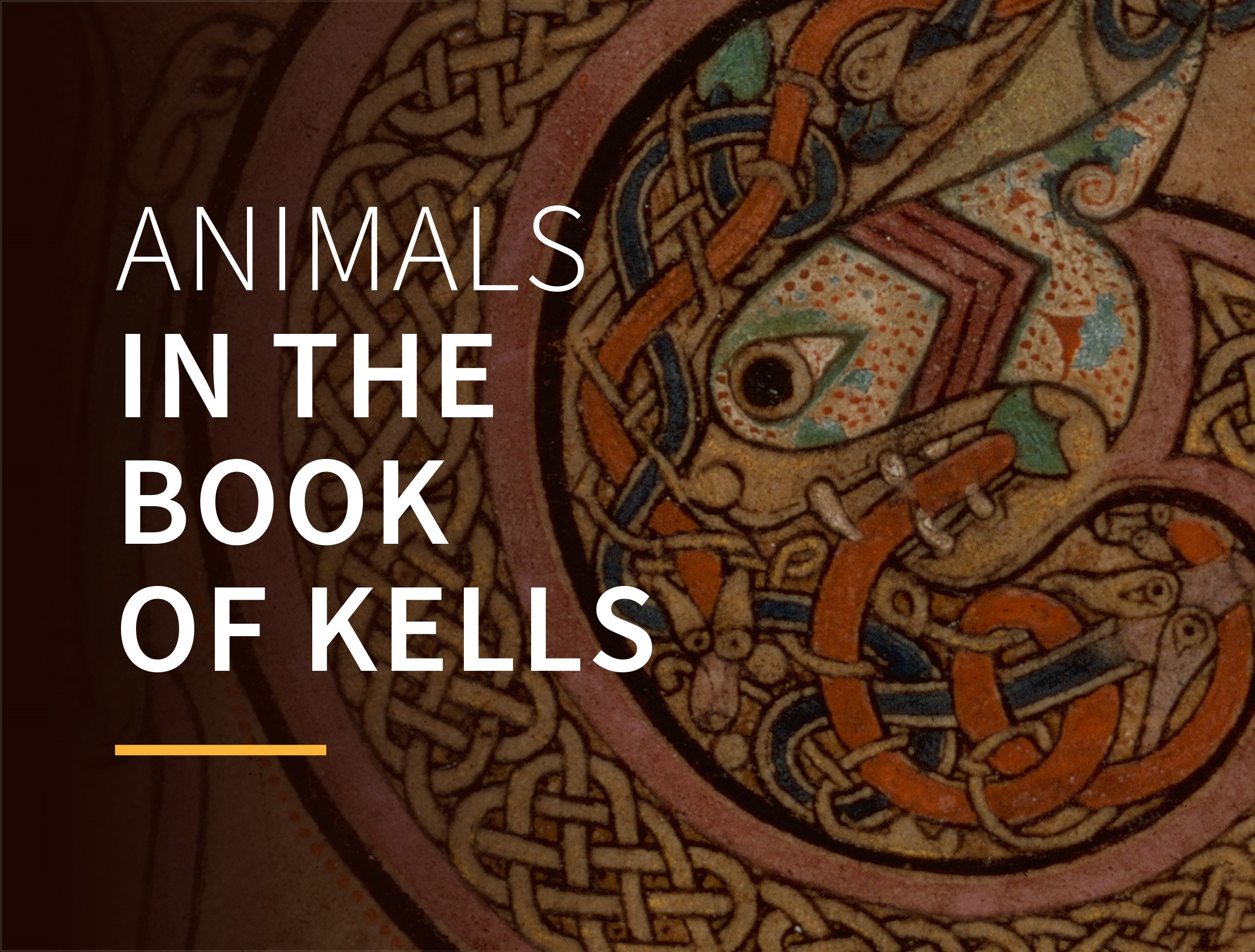 Get Inspired by the Animals in the Book of Kells | Visit Trinity