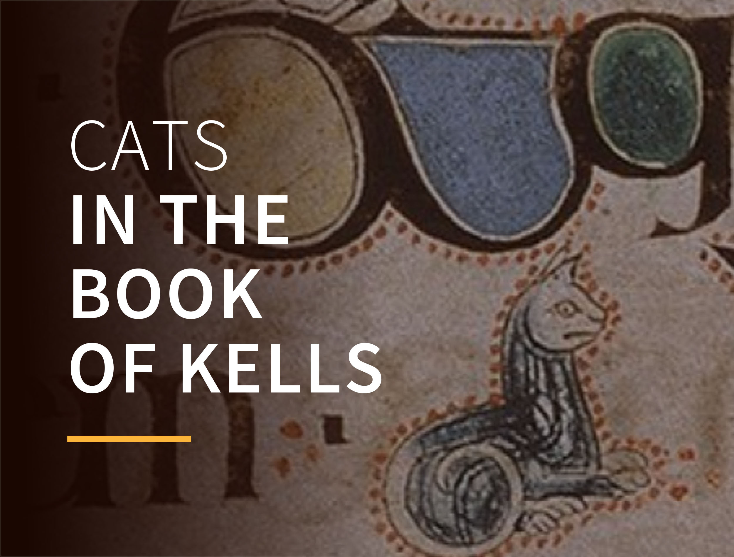 The Role of Cats in the Book of Kells | Visit Trinity