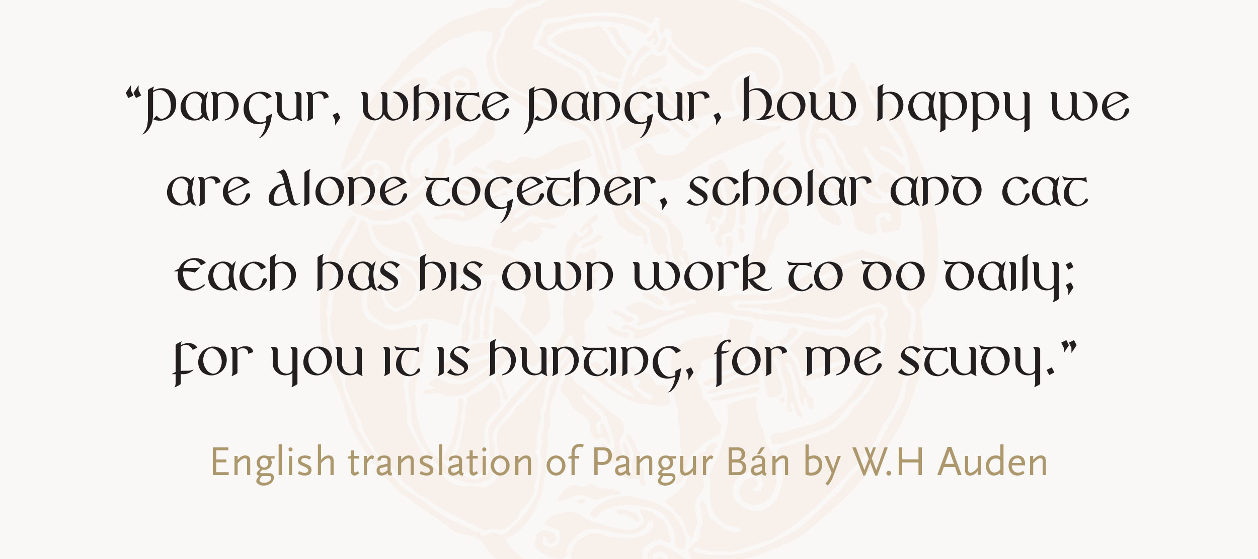 The Role of Cats in the Book of Kells | Visit Trinity
