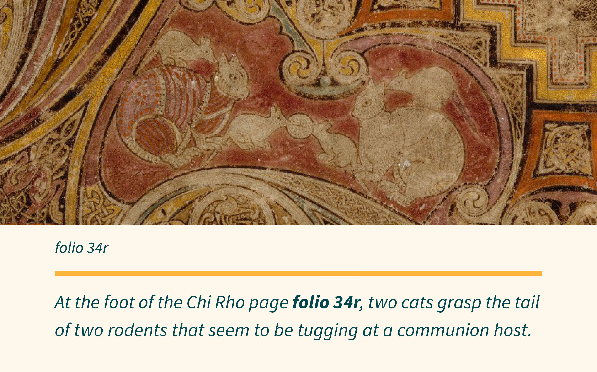 The Role of Cats in the Book of Kells | Visit Trinity
