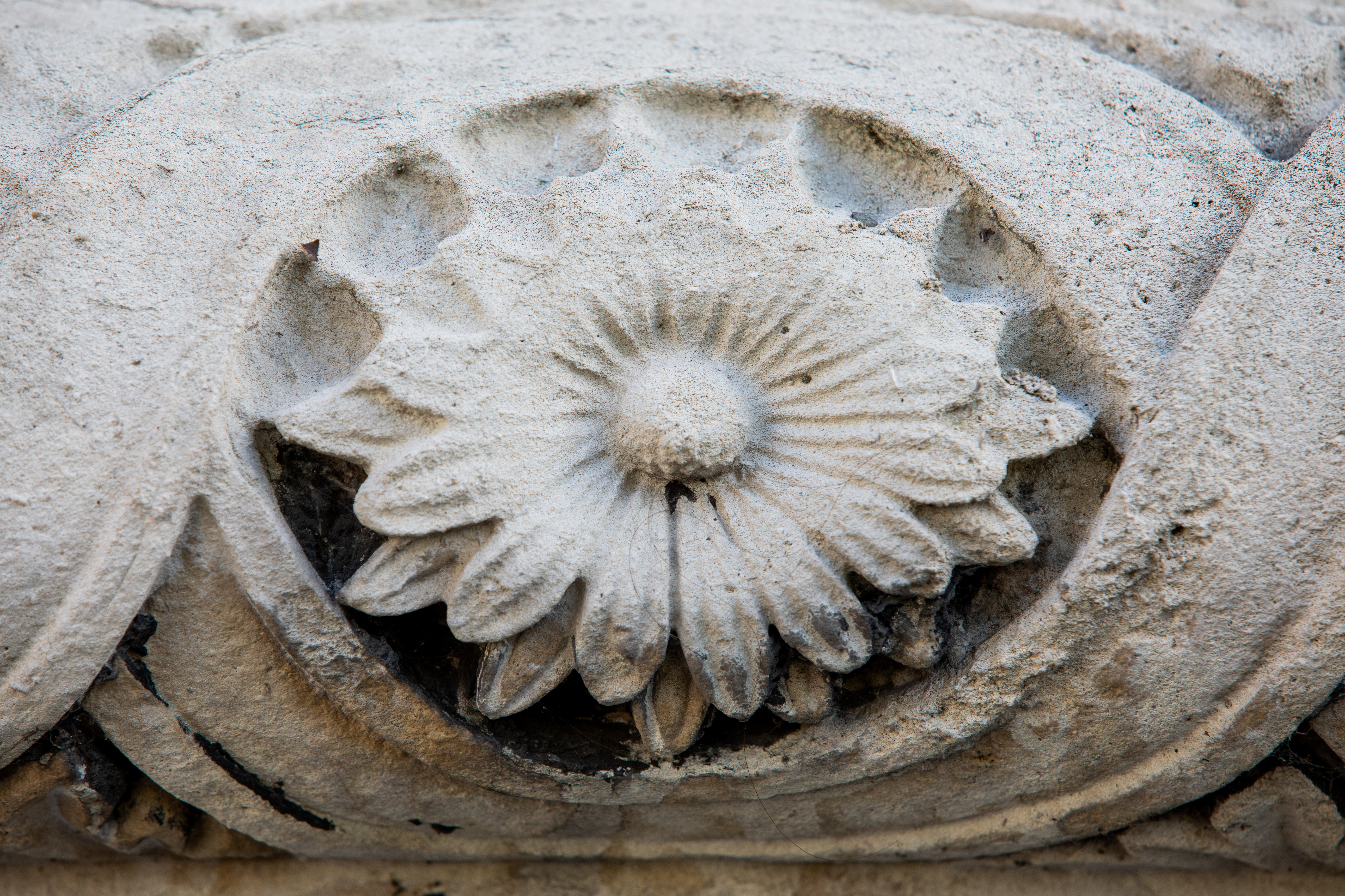 Exploring Trinity's Architectural Gems: Insights on the Historic Museum ...