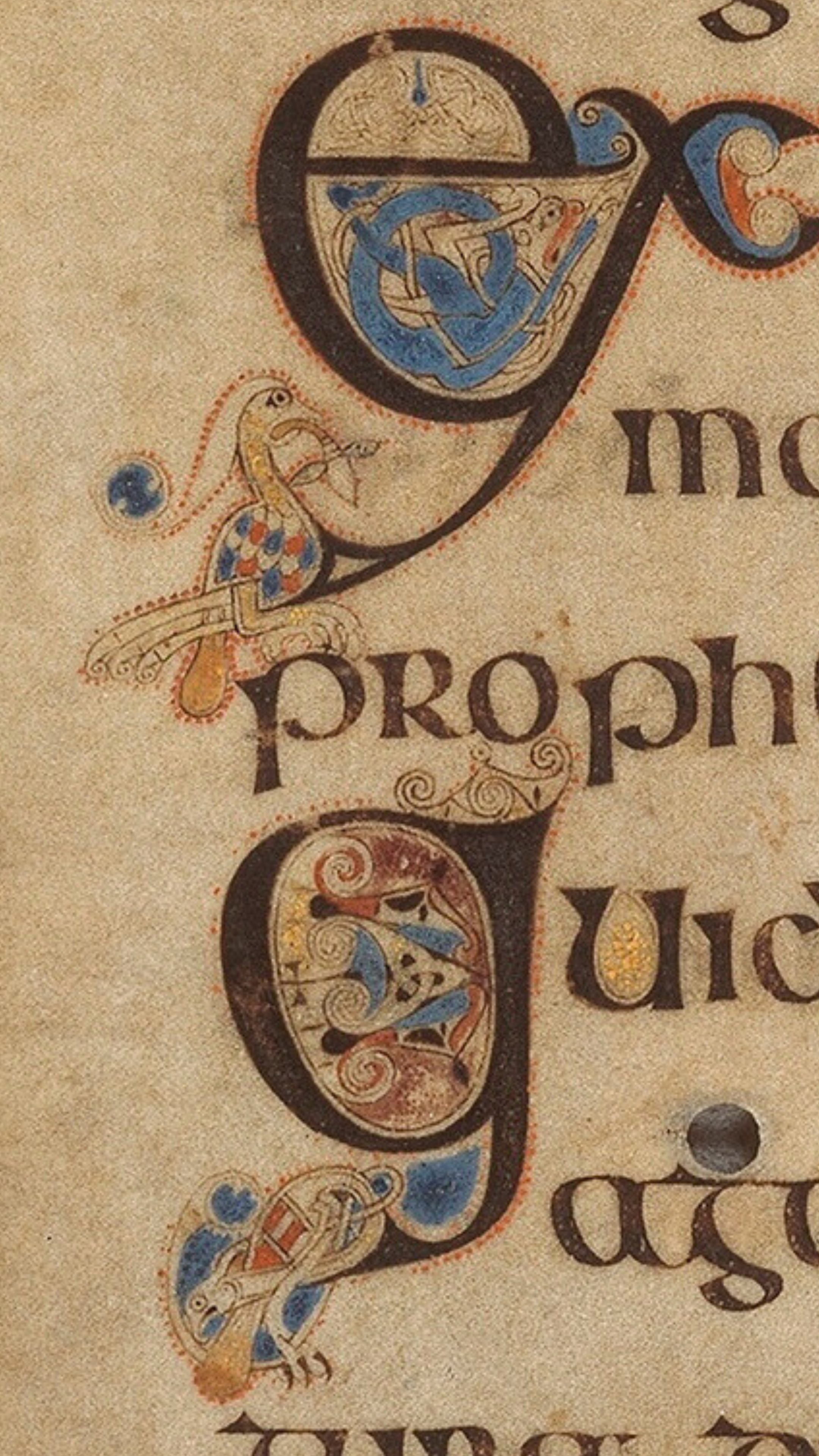 Folios 313v - 314r, Gospel of John | Book of Kells